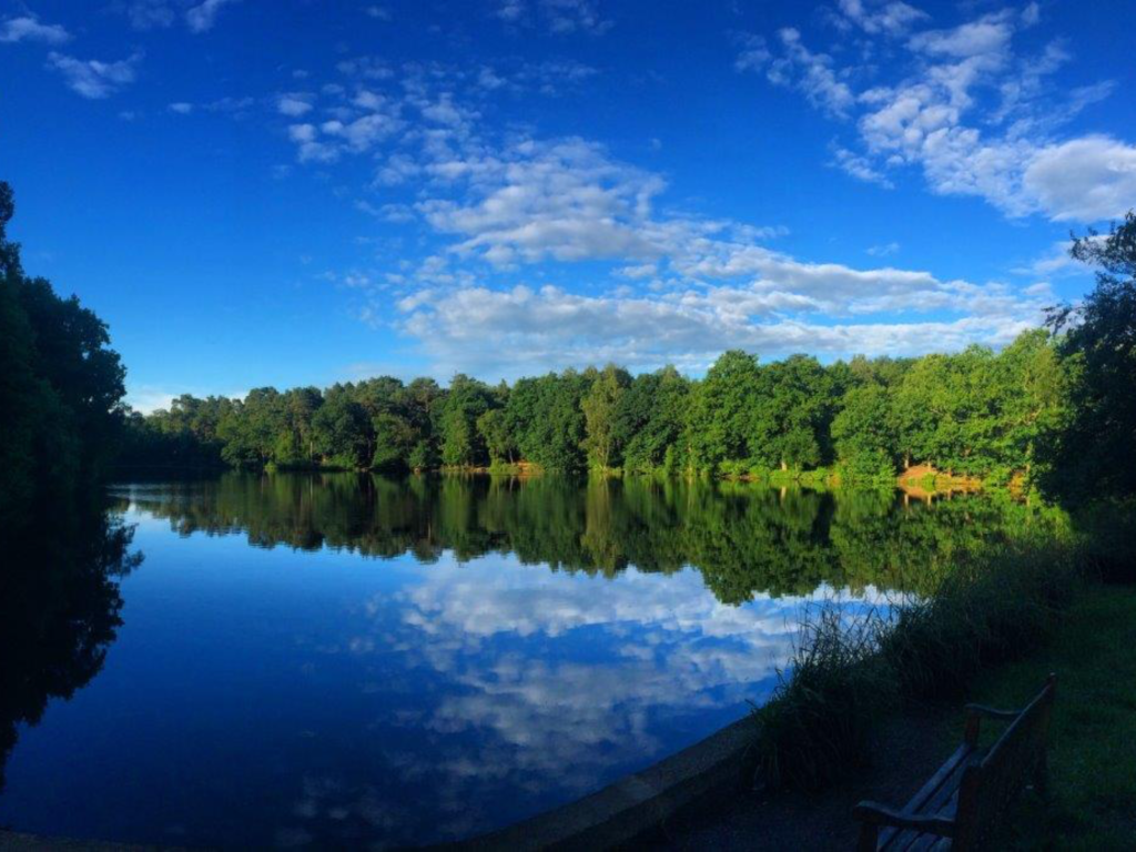 Buchan Park - Crawley Angling Society